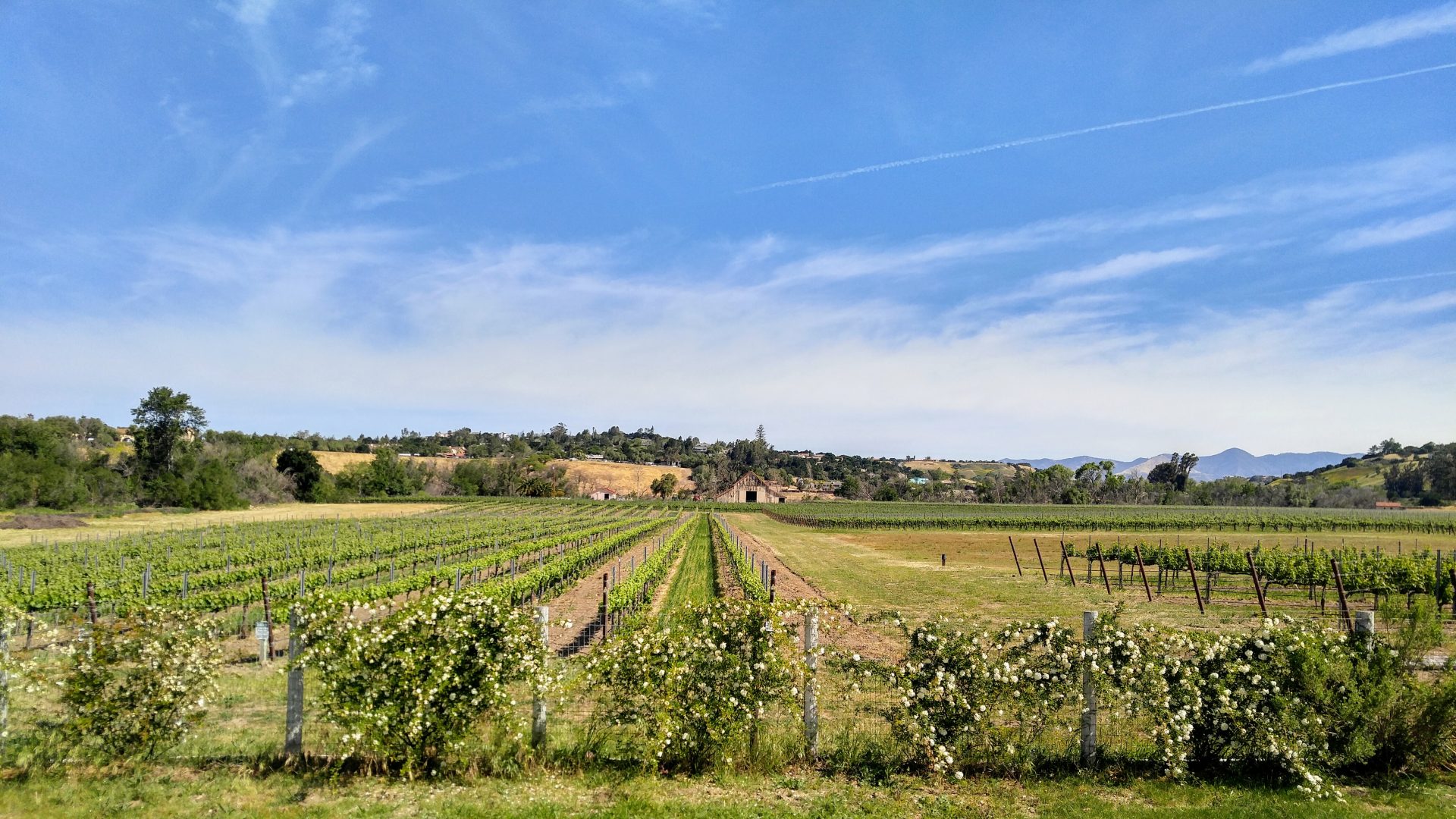 Alisal Ranch – Winning Trifecta – America’s Golfing Couple